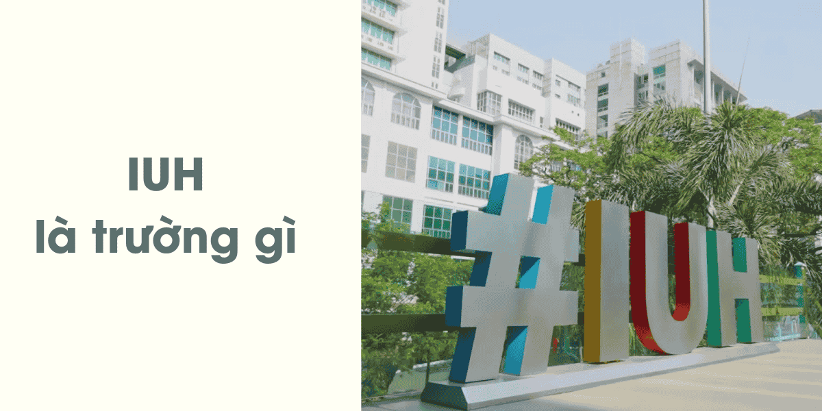 IUH là trường gì? Ngành học, điểm chuẩn, học phí IUH - Blog ...